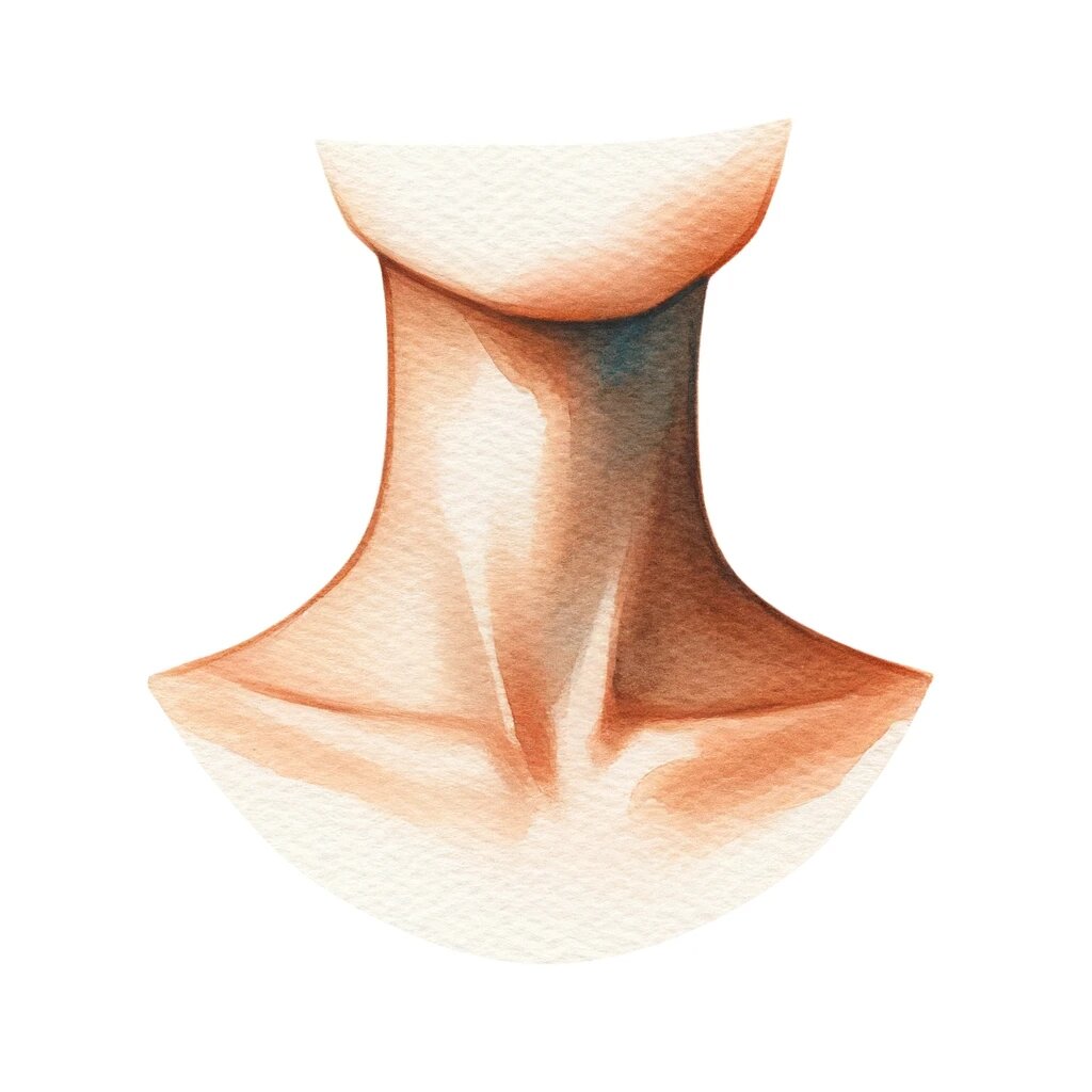 Štěpán – Profil uživatele – Umíme anglicky