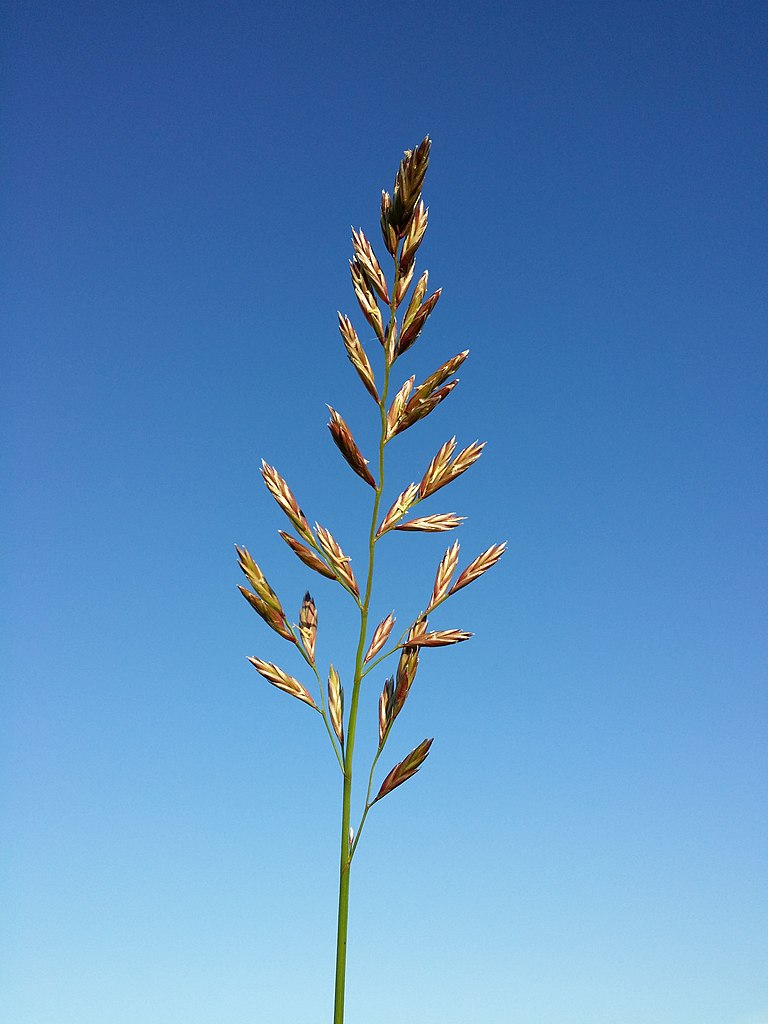 8. třída (8. ročník) – Biologická olympiáda 2022/2023 – Procvičování ...