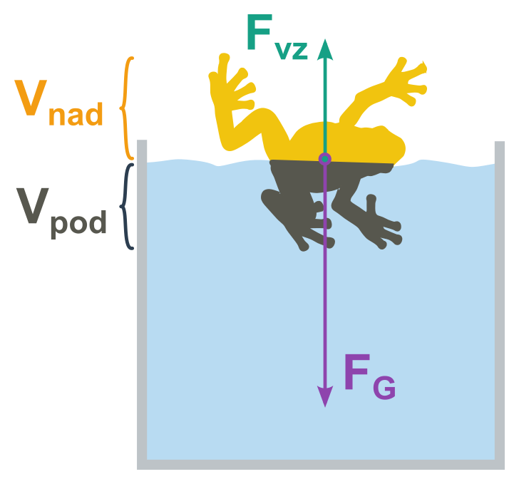 Archimédův zákon: intuitivně – Umíme to