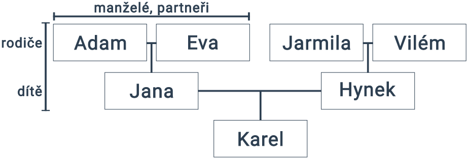 Rodokmen a členové rodiny (střední) – online Označování